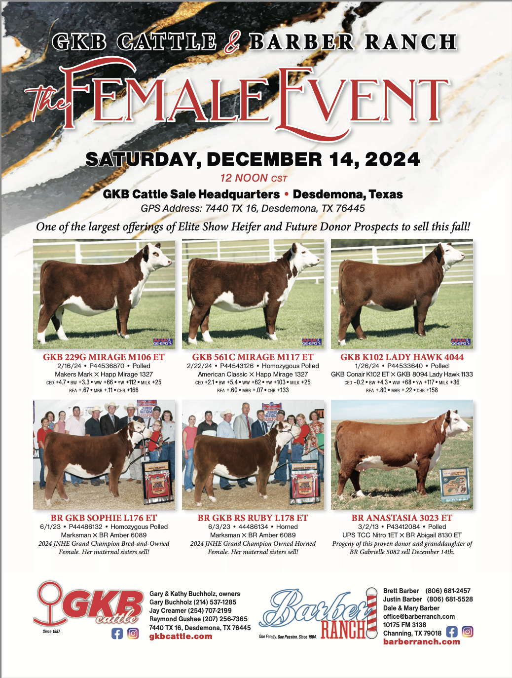 The Female Event - GKB Cattle & Barber Ranch
