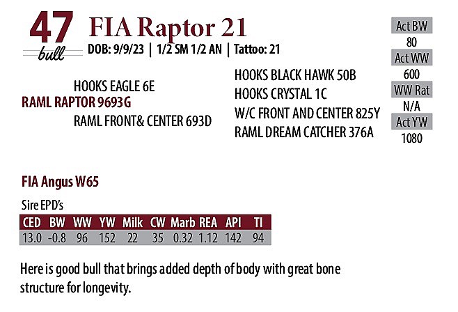 FIA Raptor 21