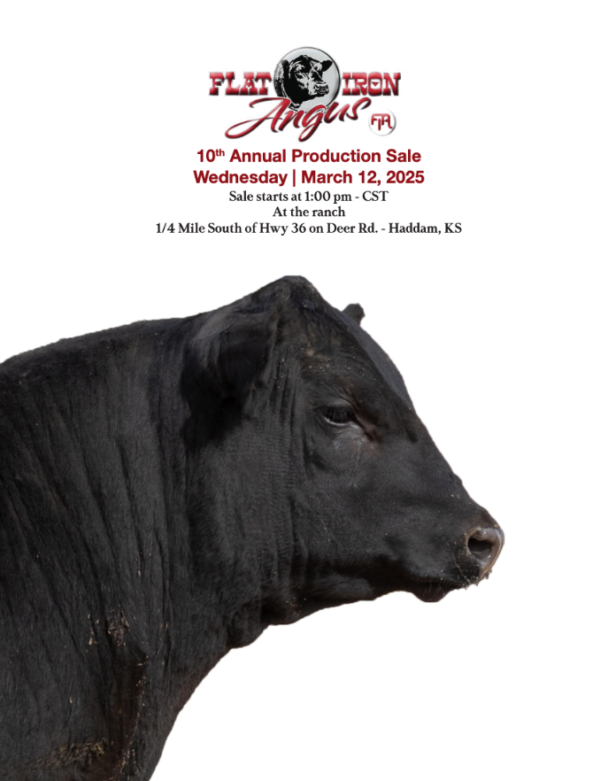 Flat Iron Angus 10th Annual Bull Sale