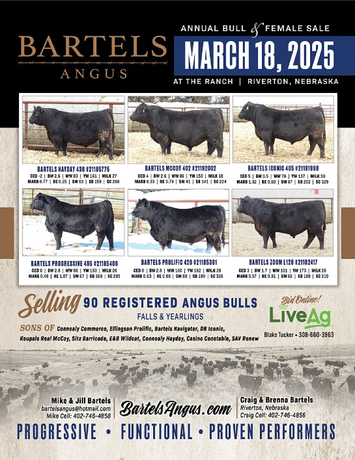 Bartels Angus