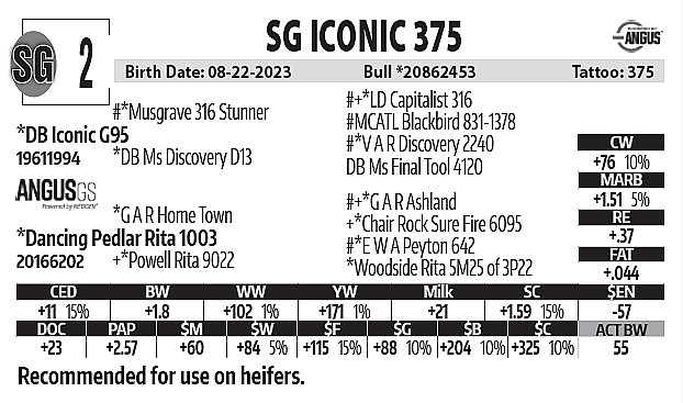 Sexton Genetics Annual Spring Bull Sale