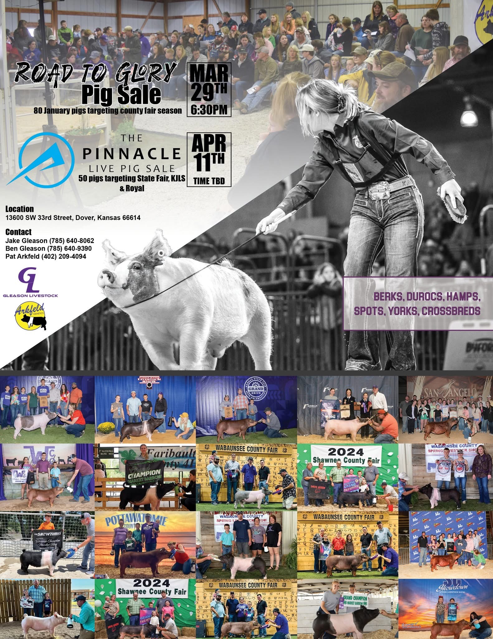 The Pinnacle Live Pig Sale