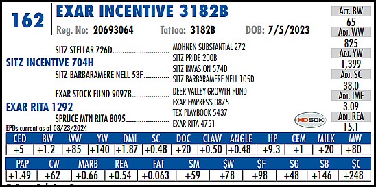 EXAR Incentive 3182B