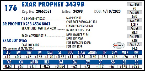 EXAR Prophet 3439B