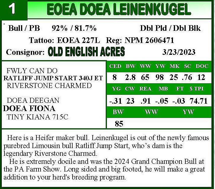 Ohio Valley Limousin Spring Sale