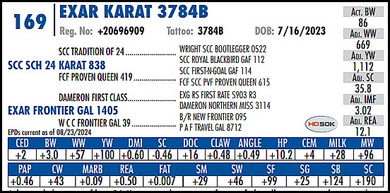 EXAR Karat 3784B