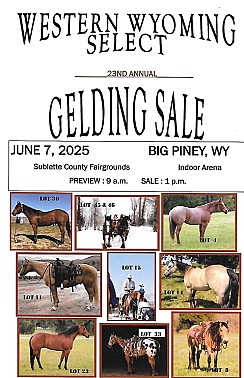 LiveAg Auctions | LiveAg