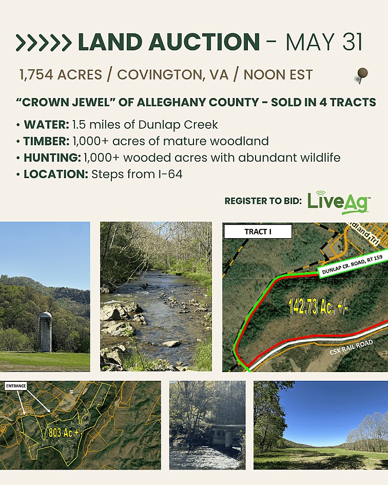 Rail Over Rivers Ranch Real Estate Auction