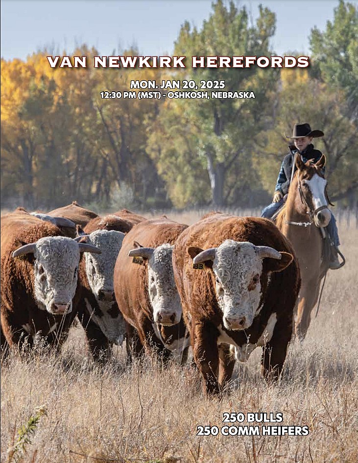 Van NewKirk Herefords