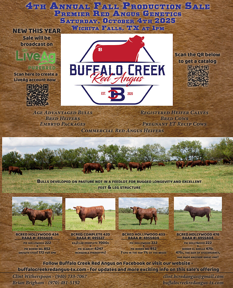 Buffalo Creek Red Angus 4th Annual Fall Production Sale