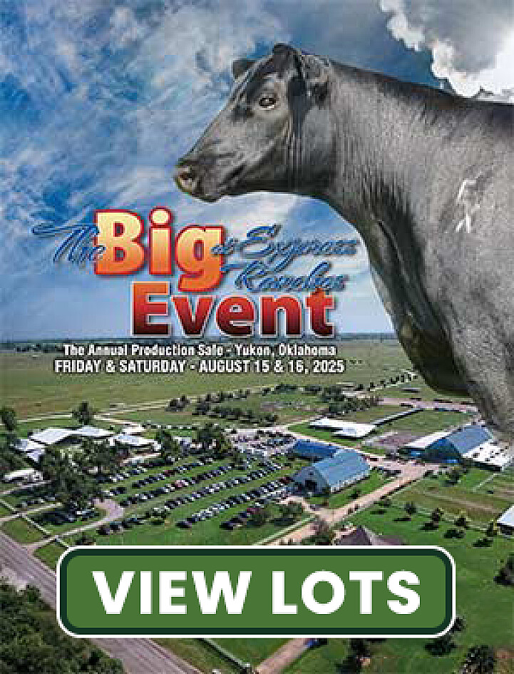 Express Ranches Big Event