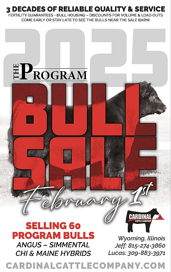 The Program | Bull Sale