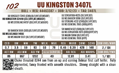 UU KINGSTON 3407L
