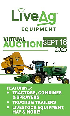 Current and Upcoming Auctions