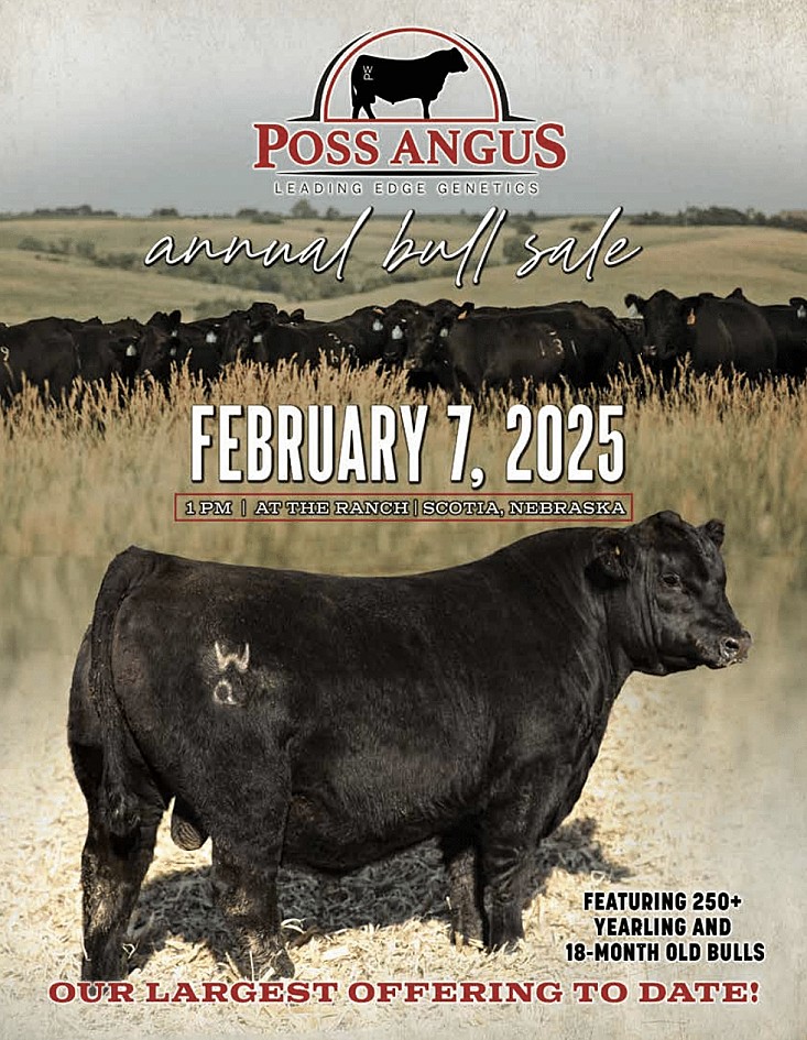 Poss Angus Annual Bull Sale