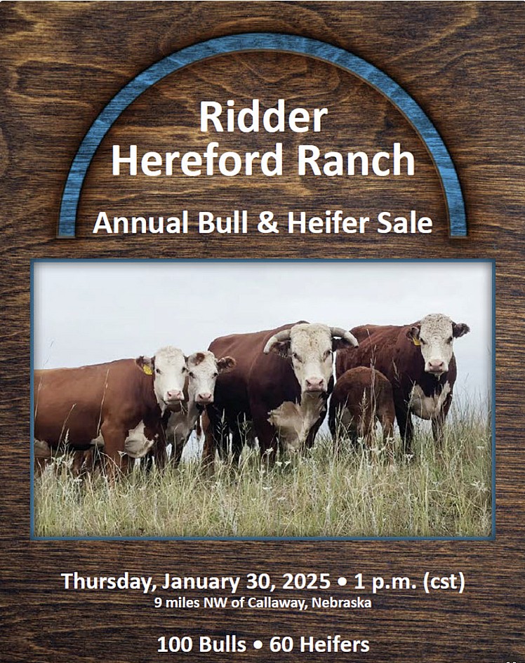 Ridder Hereford Ranch Annual Bull & Heifer Sale