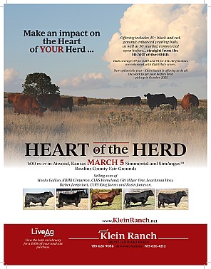 LiveAg Auctions | LiveAg