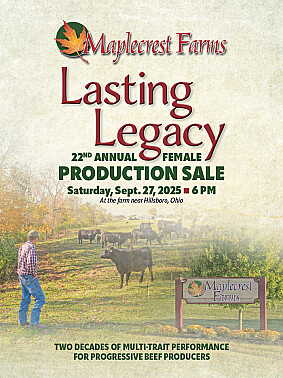 Current and Upcoming Auctions