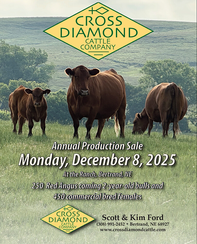 Cross Diamond Cattle Company Annual Production Sale