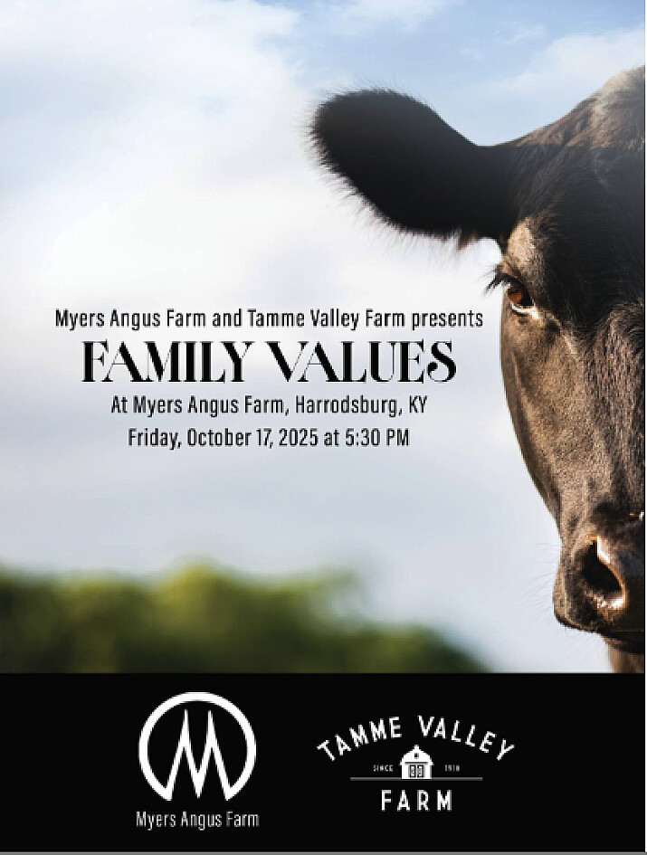Family Values Sale | Myers Angus & Tamme Valley