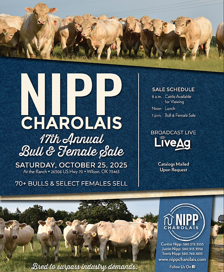 Nipp Charolais