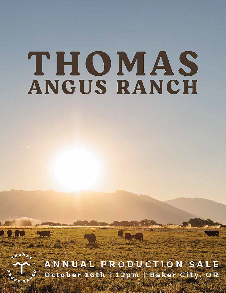 Thomas Angus Ranch Annual Production Sale