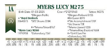 Family Values Sale | Myers Angus & Tamme Valley