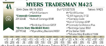Live Auction - Family Values Sale | Myers Angus & Tamme Valley