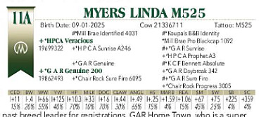 Live Auction - Family Values Sale | Myers Angus & Tamme Valley