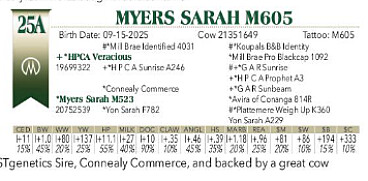 Live Auction - Family Values Sale | Myers Angus & Tamme Valley