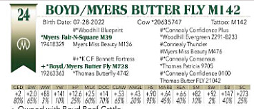 Live Auction - Family Values Sale | Myers Angus & Tamme Valley