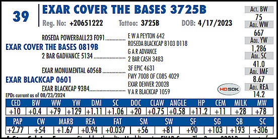 EXAR Cover The Bases 3725B