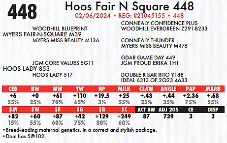 Hoos Fair N Square 448