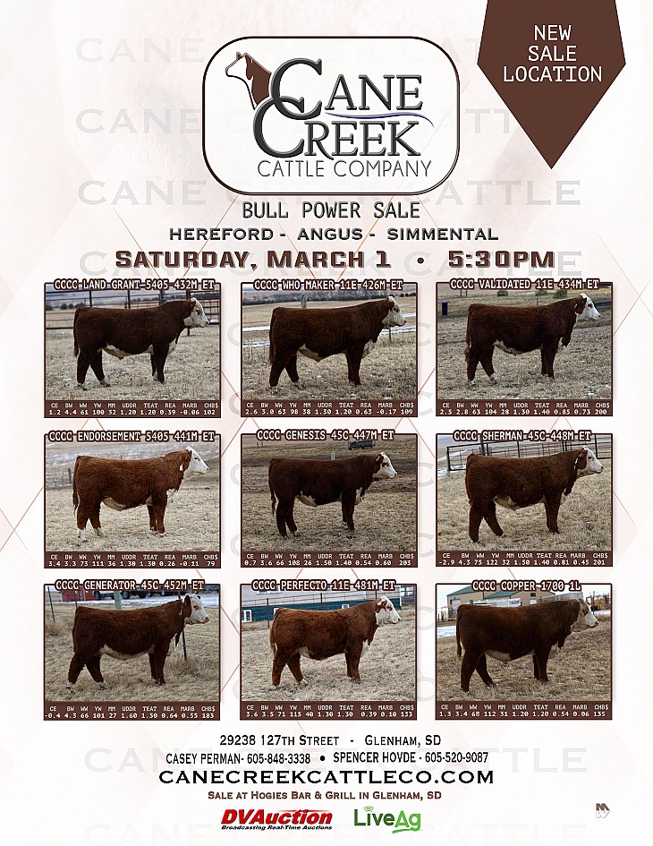 Cane Creek Cattle Company BULL POWER SALE