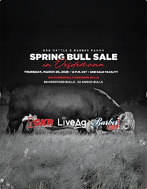 LiveAg Auctions | LiveAg