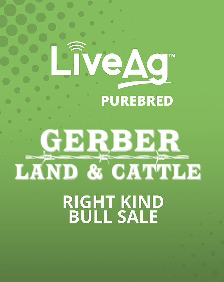 Gerber Land & Cattle Right Kind Bull Sale