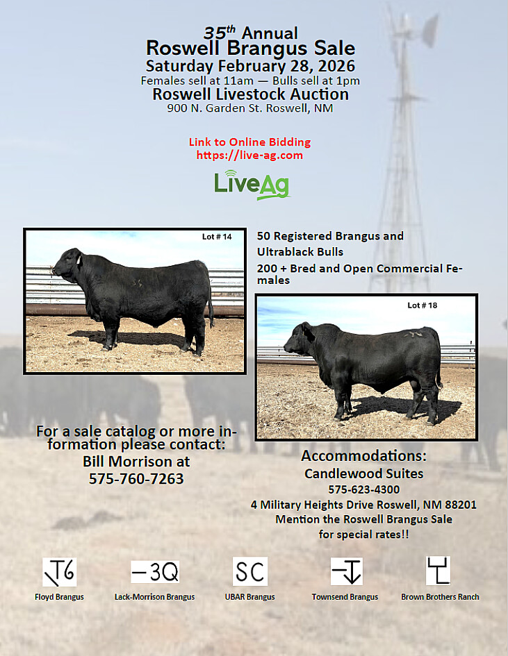 35th Annual Roswell Brangus Sale