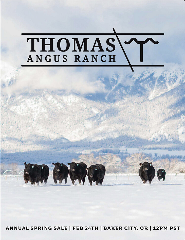 Thomas Angus Ranch Annual Spring Sale