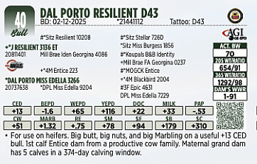 Live Auction - Dal Porto Livestock Spring Bull Sale