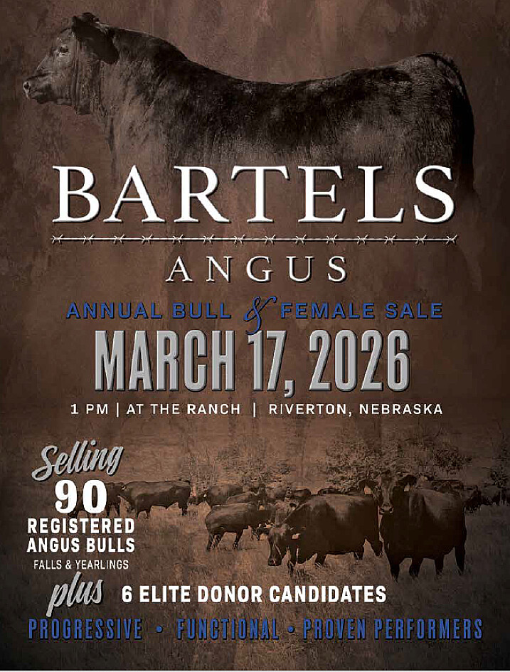 Bartels Angus