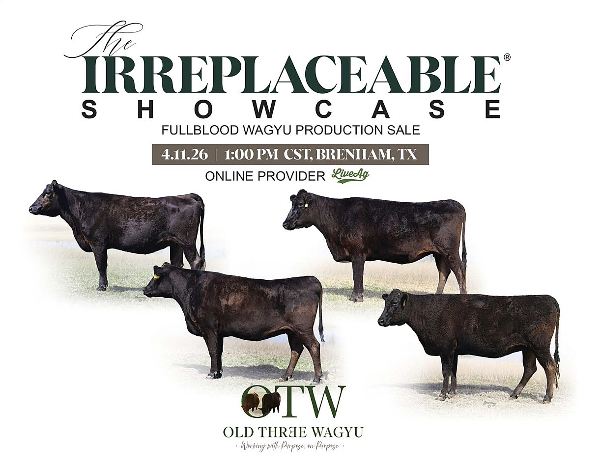 The Irreplaceable Showcase Fullblood Production Sale