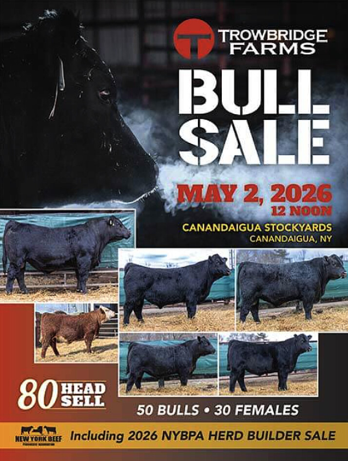 Trowbridge Farms Bull Sale & NYBPA Herd Builder Sale