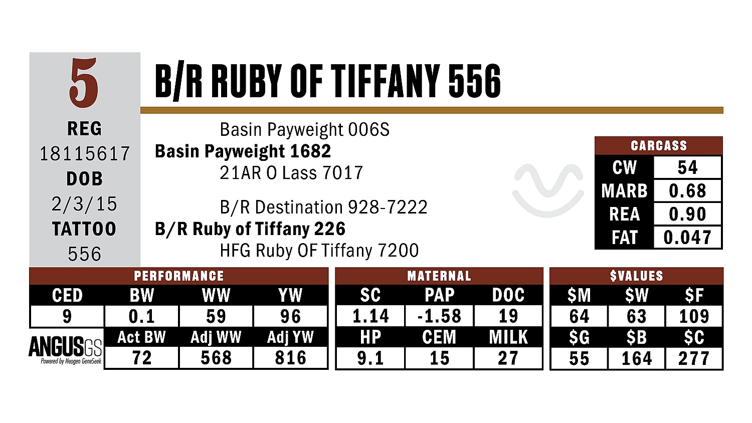 B/R Ruby of Tiffany 556