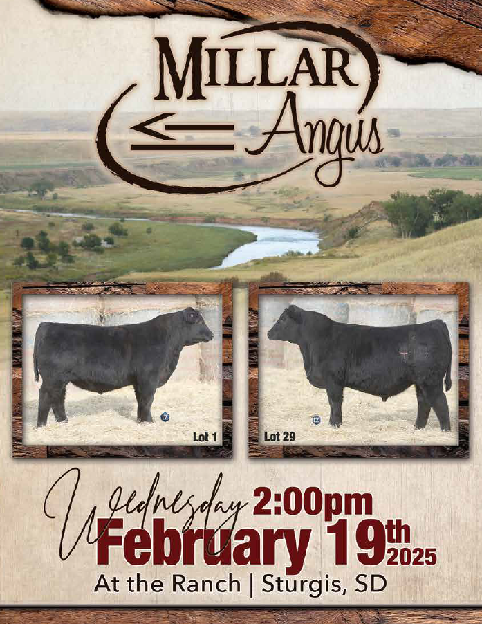 Millar Angus