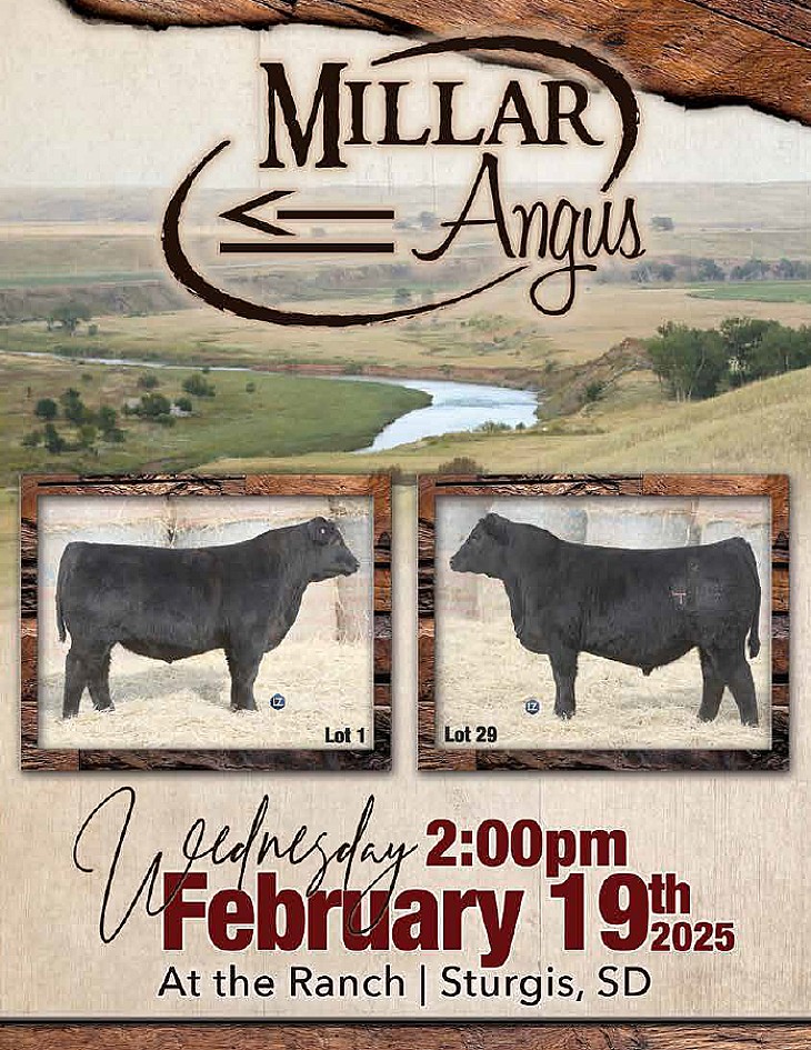 Millar Angus