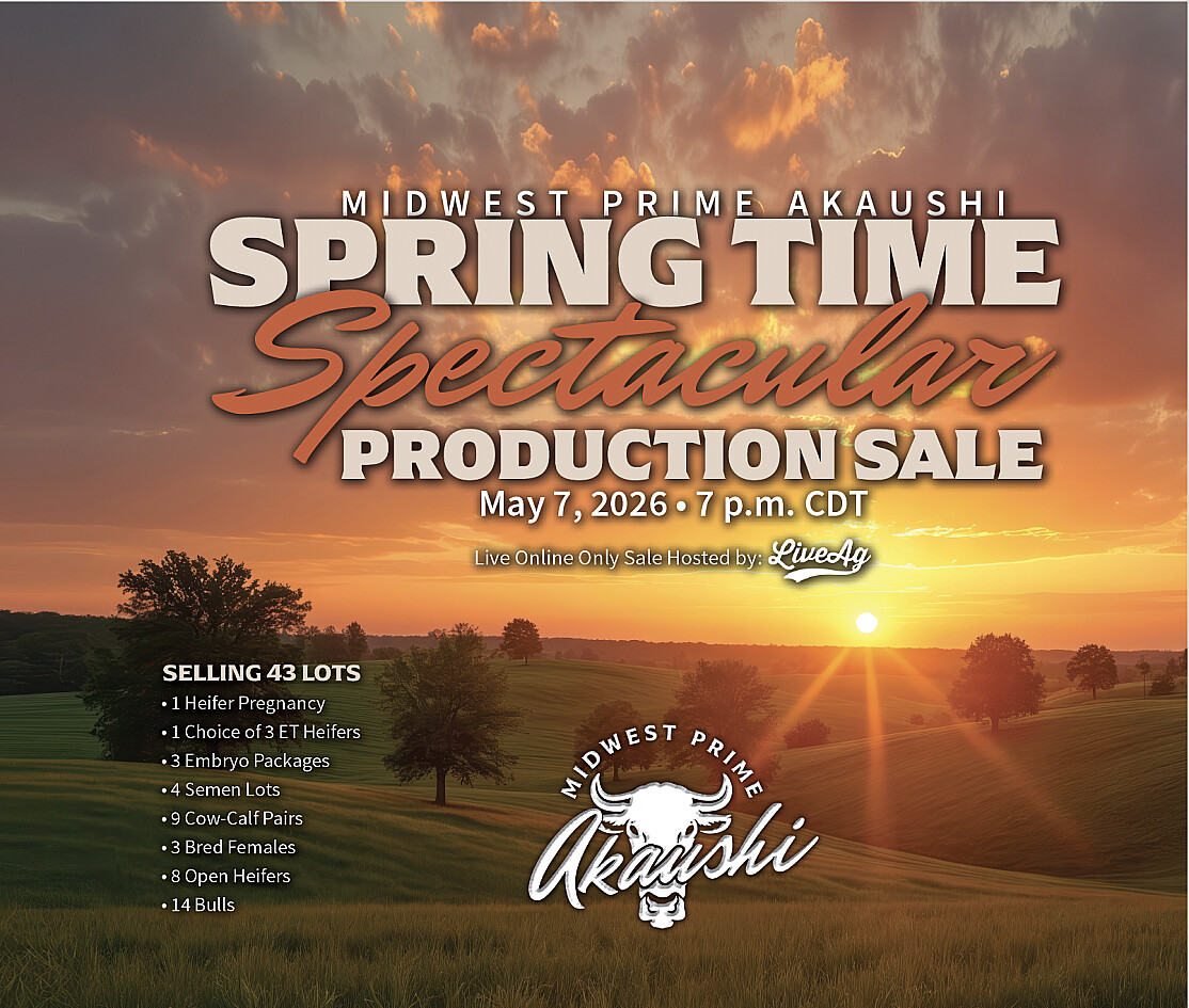 Midwest Prime Akaushi Spring Time Spectacular Production Sale