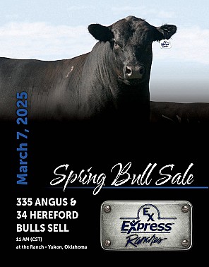 LiveAg Auctions | LiveAg